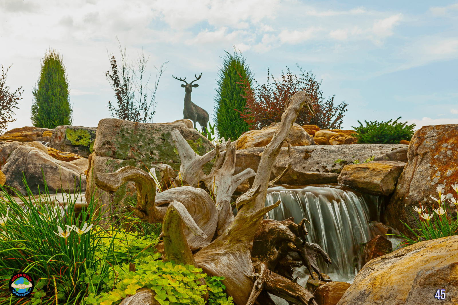 Stunning Waterfalls: Aquascaping Gallery Showcase